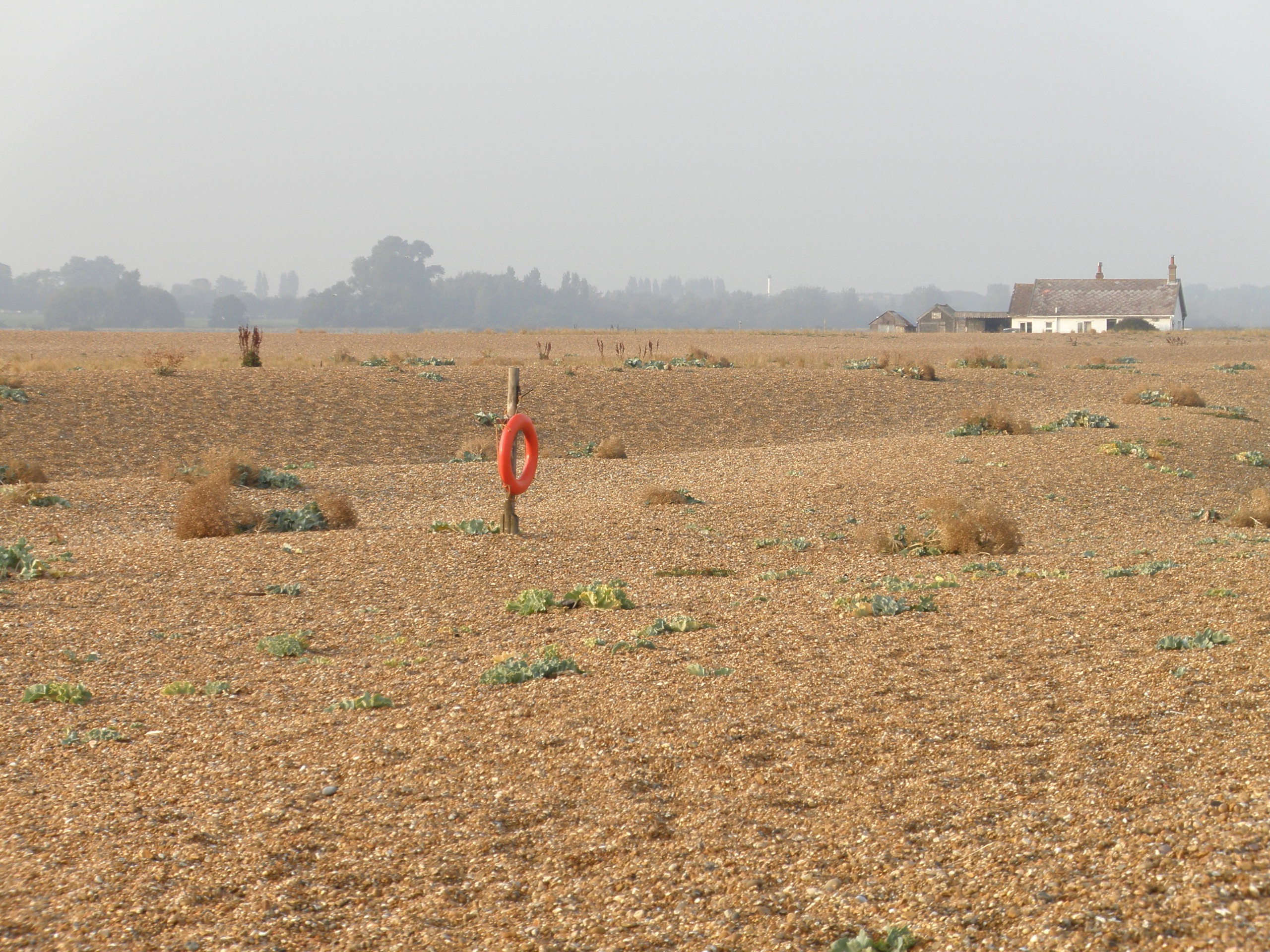 Shingle Street Residency interview with Amy Key • Poetry School