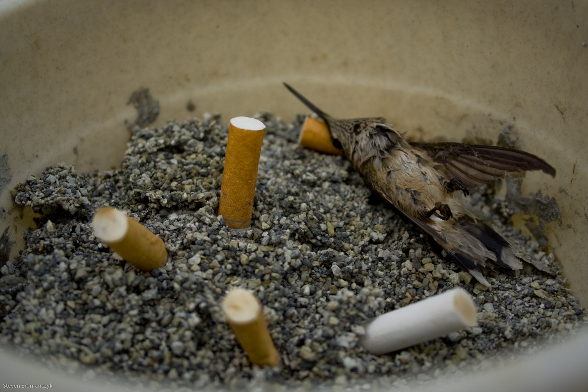 'Globalization Detritus' • Poetry School