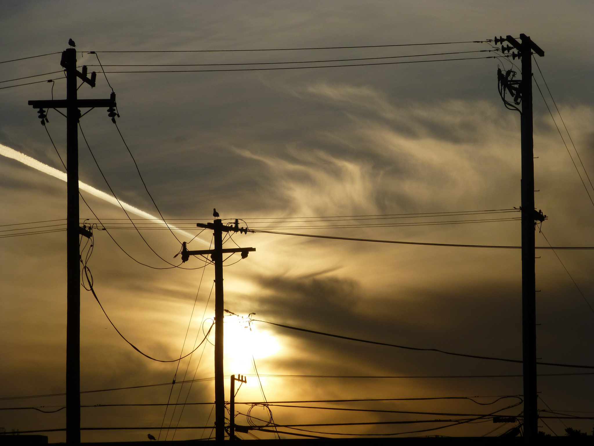 Phone call from... by Susan Utting and a new writing prompt from Ben ...