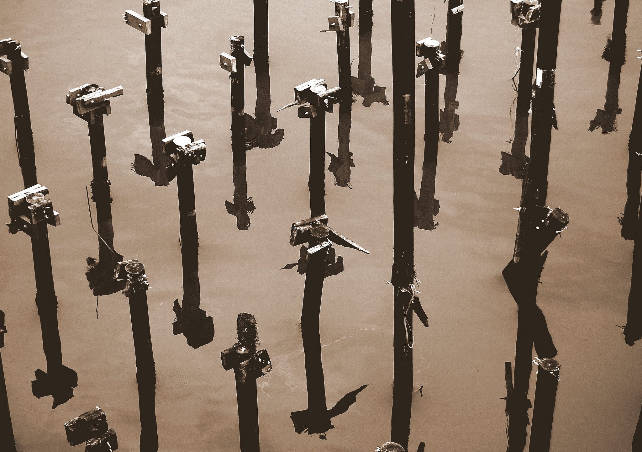 Review: 'The Watermark' by Alice Anderson • Poetry School