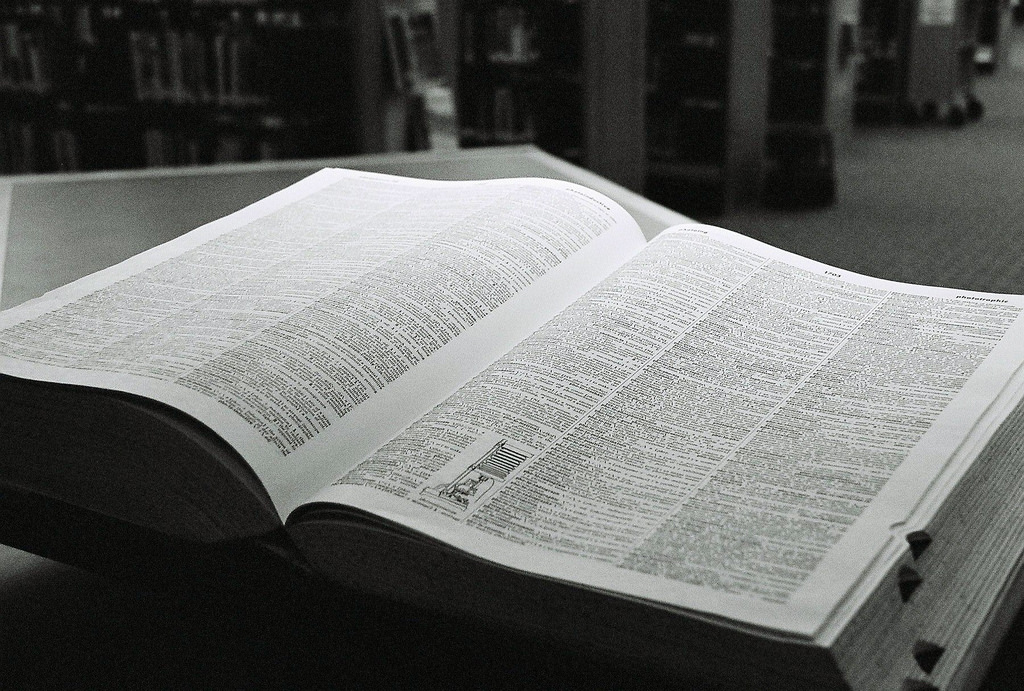 New Definitions and Neologisms: Interview with Kate Potts • Poetry School