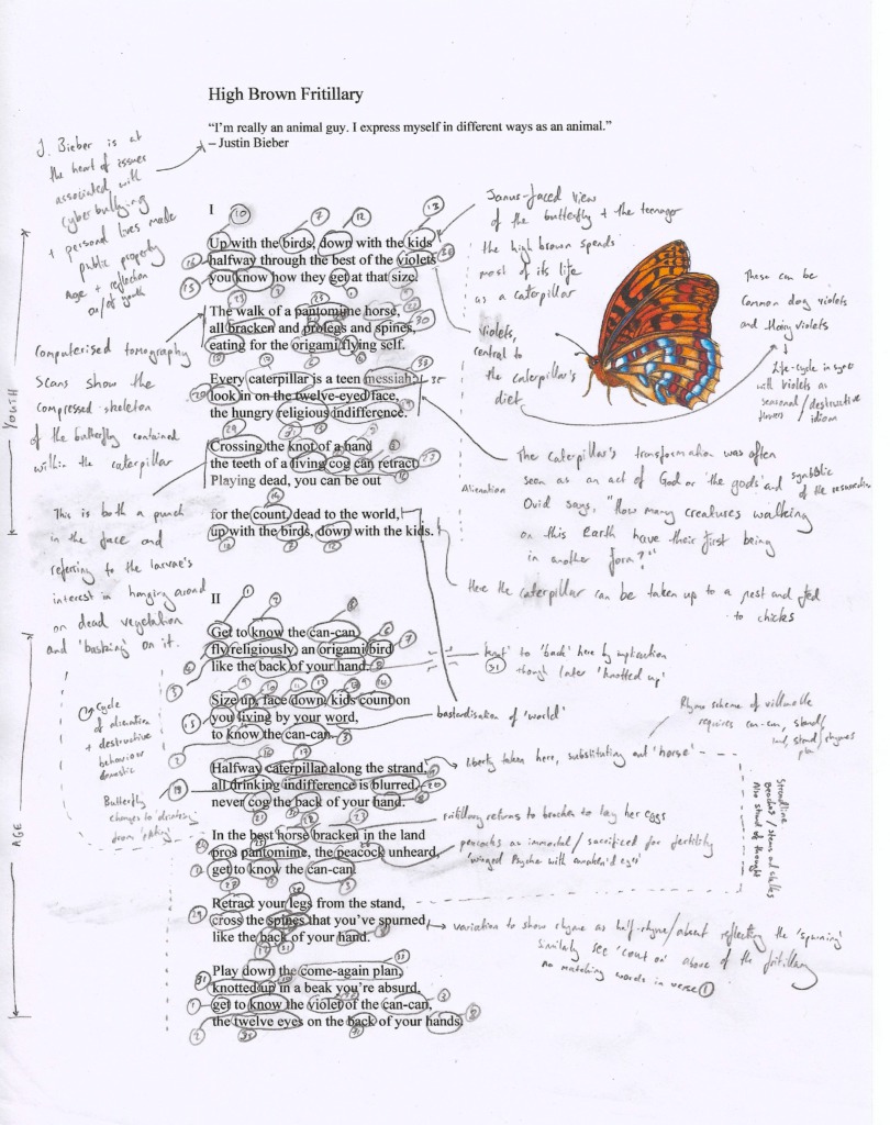 How I Did It - Ted Hughes Award: Harry Man on 'Finders Keepers ...