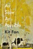 Review: 'As Slow As Possible' by Kit Fan • Poetry School