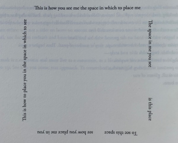 Ledbury Emerging Poetry Critic Review: 'Whereas' by Layli Long Soldier ...