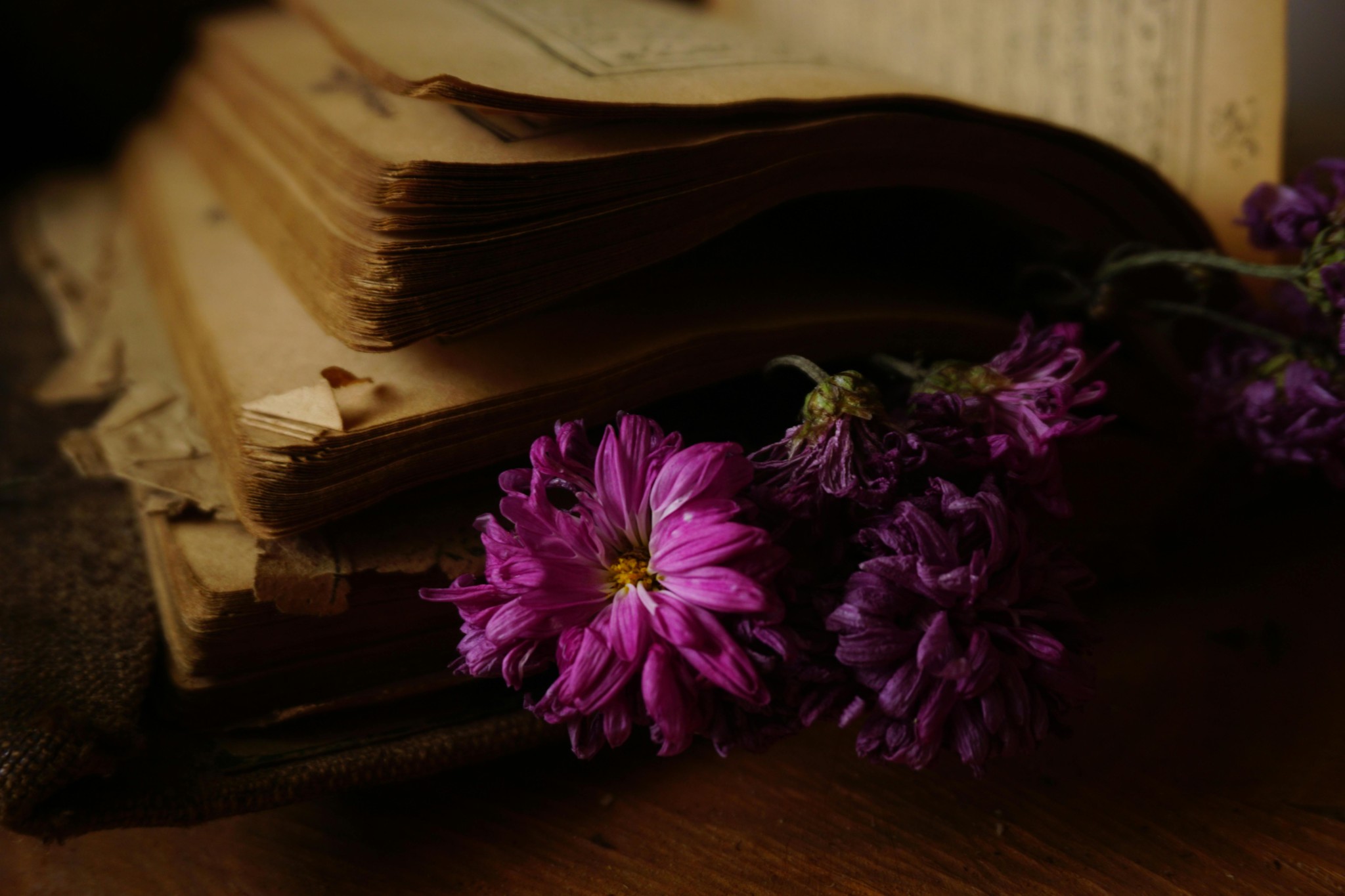 Poetry School • Inspiring Poetry Tuition